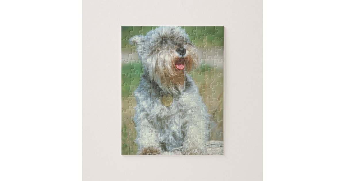 Schnauzer Dog Puzzle | Zazzle
