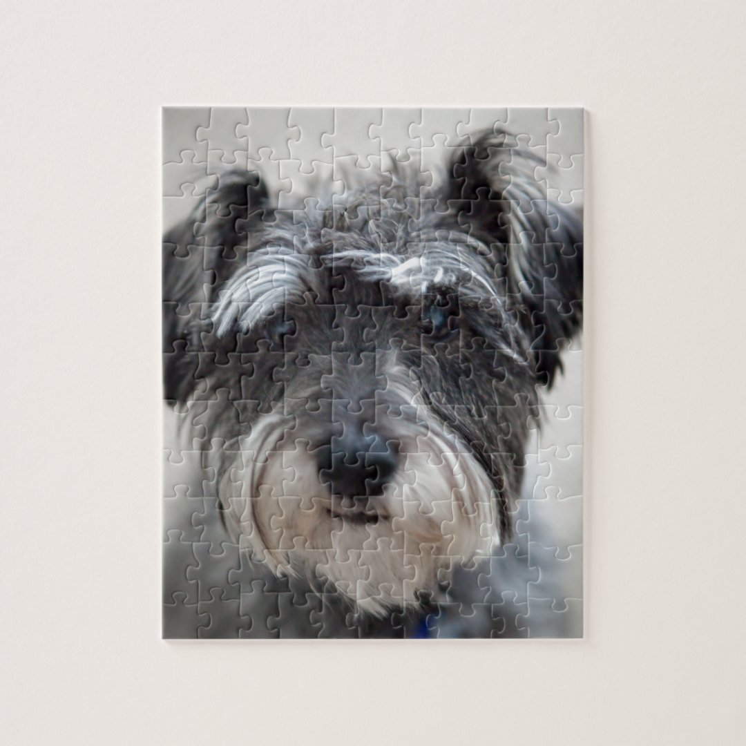 Schnauzer Jigsaw Puzzle | Zazzle