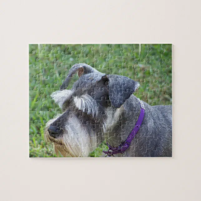 Schnauzer Puzzle | Zazzle