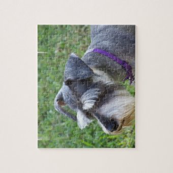 Schnauzer Puzzle | Zazzle
