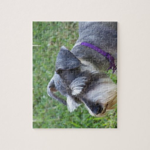 Schnauzer Puzzle | Zazzle