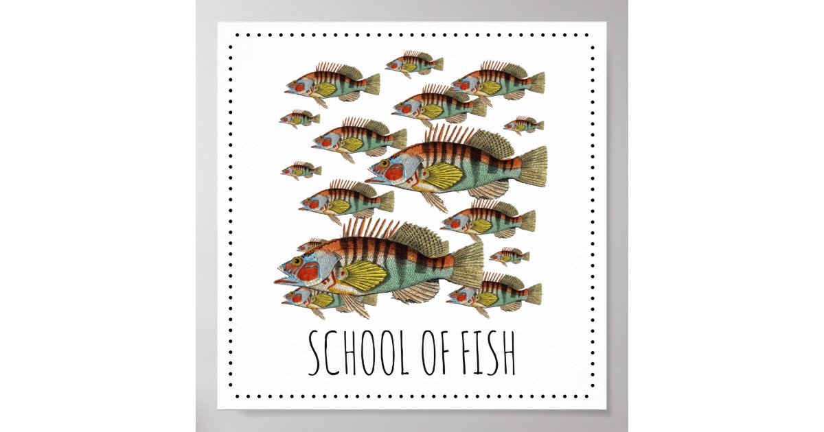 School Of Fish Poster | Zazzle