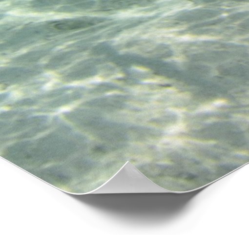 School of Permit Fish Poster | Zazzle