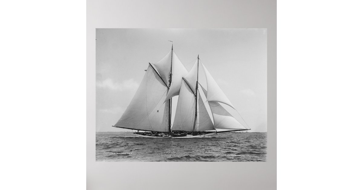Schooner Mayflower Poster | Zazzle