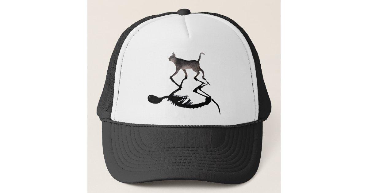 Schrodinger Cat Hat | Zazzle