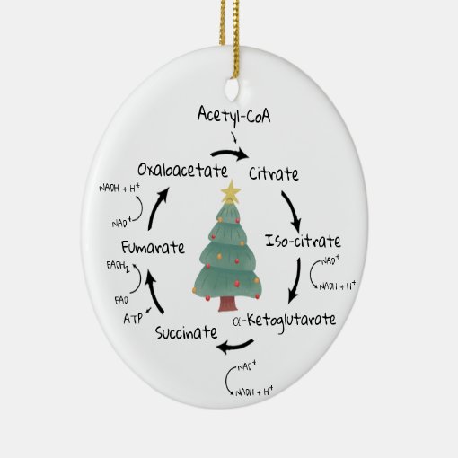 Science Biology Kreb's Cycle Christmas Teacher Ceramic Ornament | Zazzle