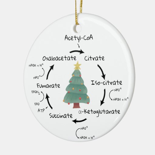 Science Biology Kreb's Cycle Christmas Teacher Ceramic Ornament | Zazzle