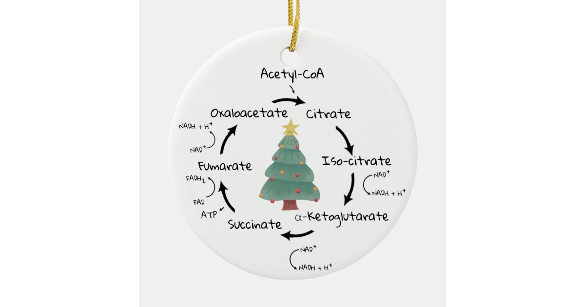 Science Biology Kreb's Cycle Christmas Teacher Ceramic Ornament | Zazzle