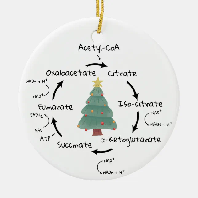 Science Biology Kreb's Cycle Christmas Teacher Ceramic Ornament | Zazzle