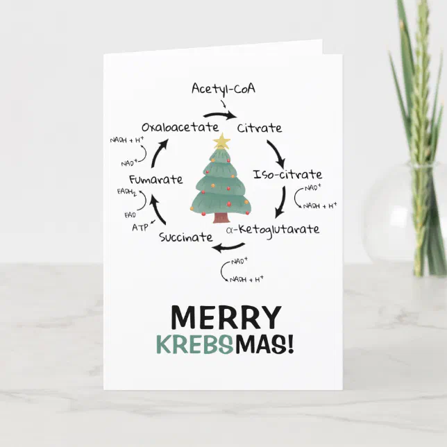 Science Biology Kreb's Cycle Christmas Teacher Holiday Card | Zazzle