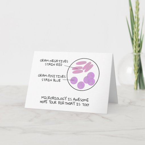 Science Birthday Microbiology Gram Stain Poem Lab Card | Zazzle