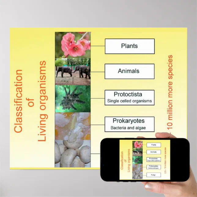 Science, Classification of living organisms Poster | Zazzle