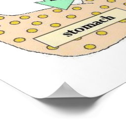 Science, Human body, Digestion Poster | Zazzle