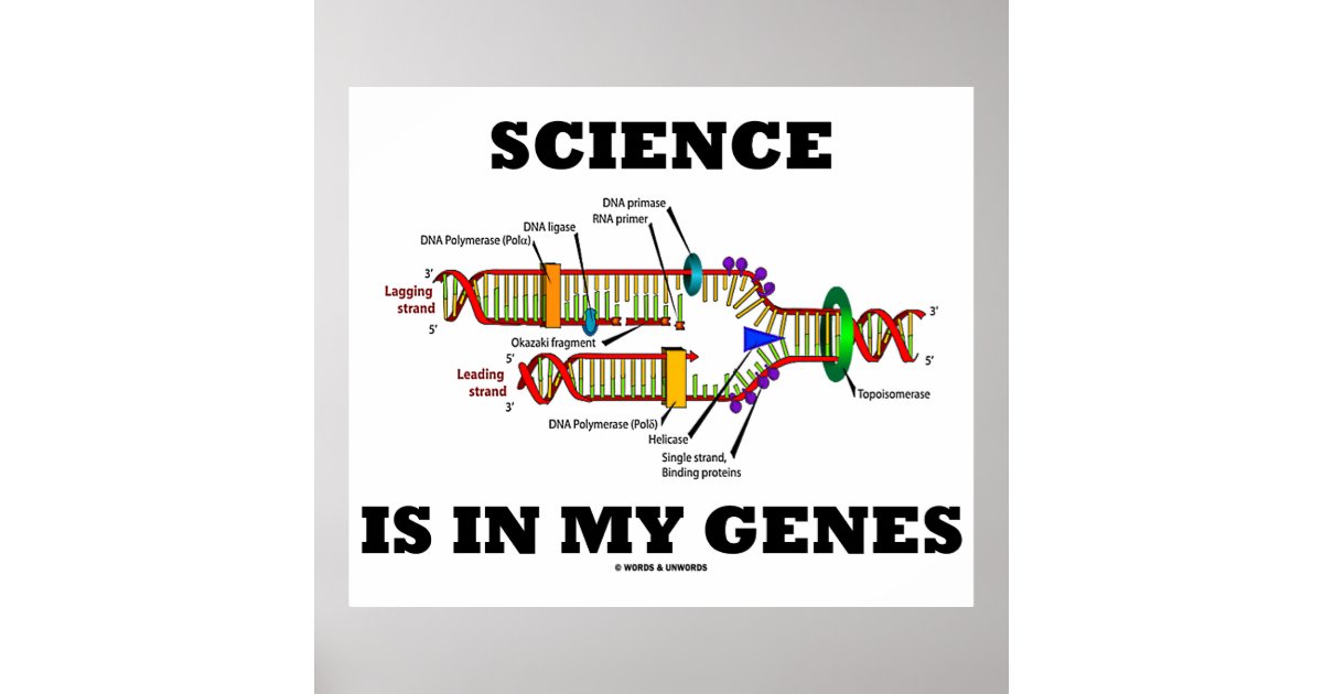 Science Is In My Genes (DNA Replication) Poster | Zazzle