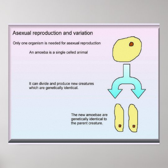 Science, Life Science Asexual reproduction Poster | Zazzle.com