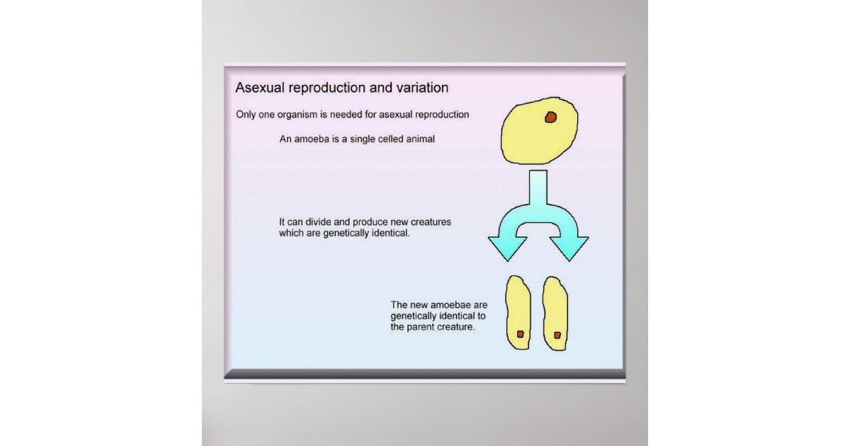 Science, Life Science Asexual reproduction Poster | Zazzle