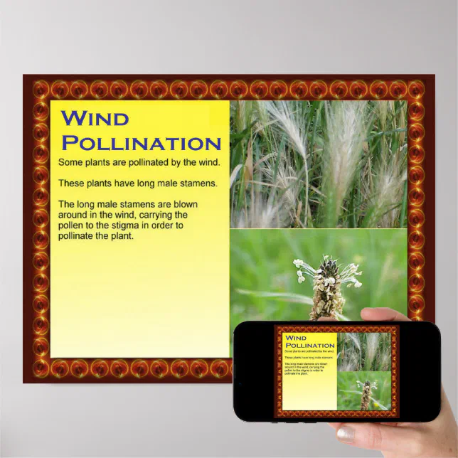 Science, Plants, Reproduction, Wind Pollination Poster | Zazzle