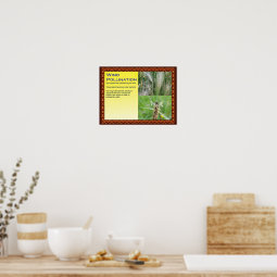 Science, Plants, Reproduction, Wind Pollination Poster | Zazzle