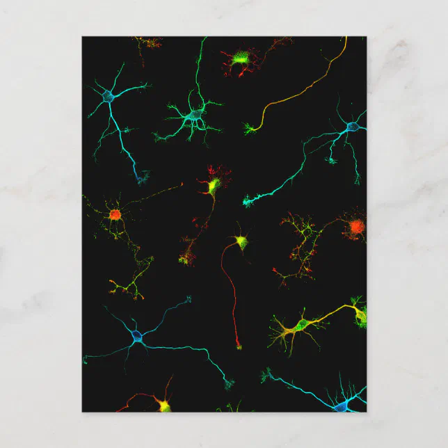 science postcard | Zazzle