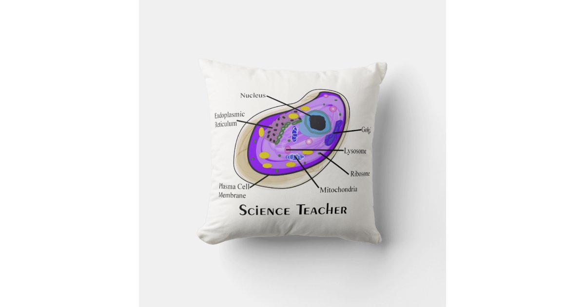 Science Teacher Pillow Human Cell Anatomy | Zazzle