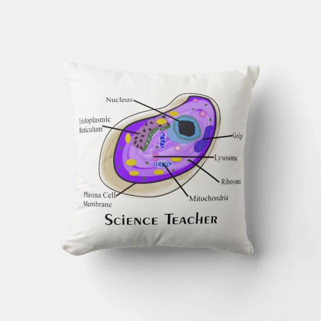 Science Teacher Pillow Human Cell Anatomy | Zazzle