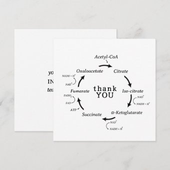 Science Thank You Teacher Kreb's Cycle Biology | Zazzle
