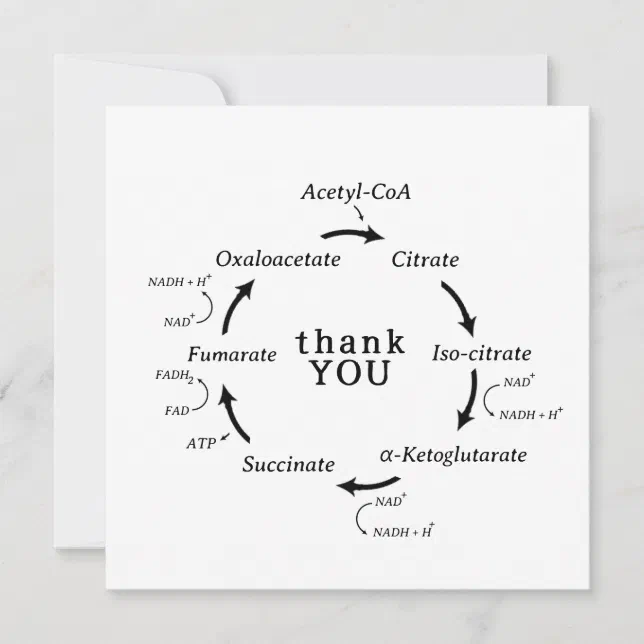 Science Thank You Teacher Kreb's Cycle Biology | Zazzle