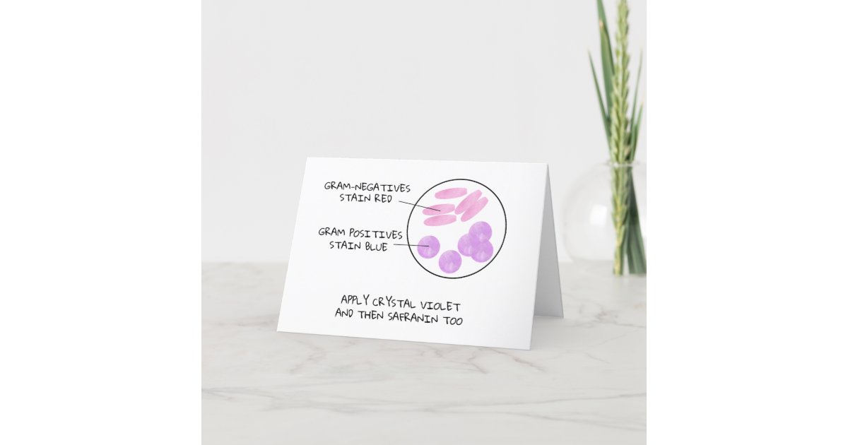 Science Valentine Microbiology Gram Stain Poem Lab Holiday Card | Zazzle