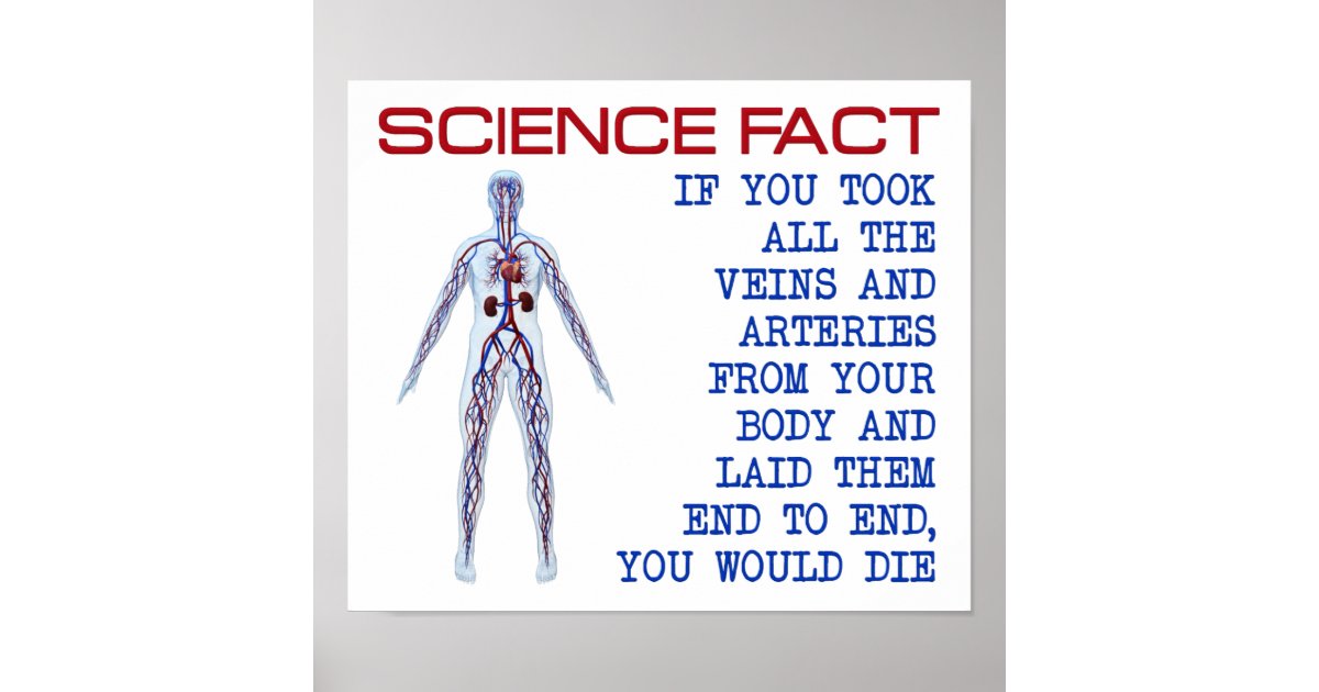 Science Veins Funny Poster | Zazzle