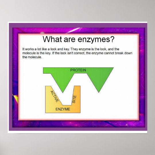 Science,What are enzymes? Poster | Zazzle.com