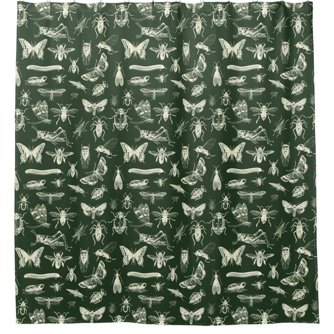 Scientific Antique Bugs Insects Cream and Green Shower Curtain | Zazzle