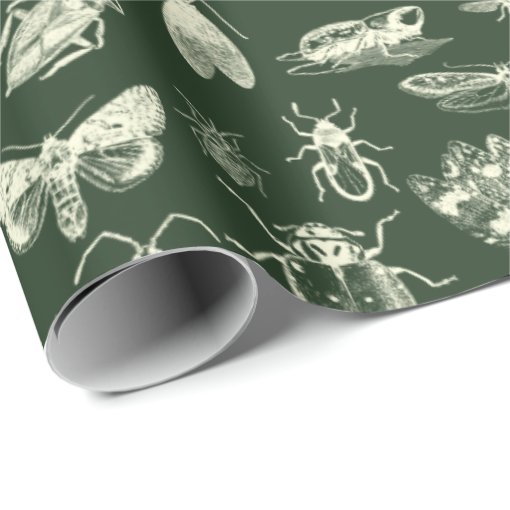 Scientific Antique Bugs Insects Cream and Green Wrapping Paper | Zazzle