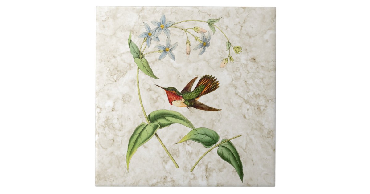 Scintillant Hummingbird Ceramic Tile | Zazzle