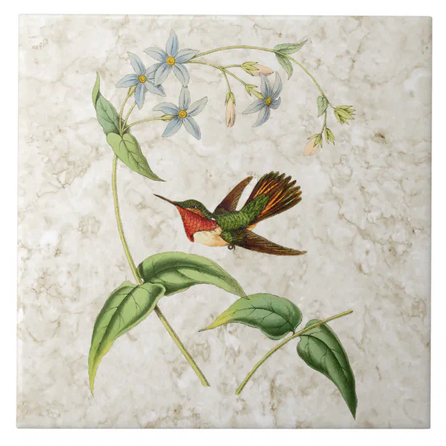 Scintillant Hummingbird Ceramic Tile | Zazzle