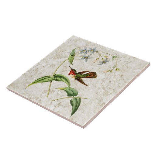 Scintillant Hummingbird Ceramic Tile | Zazzle