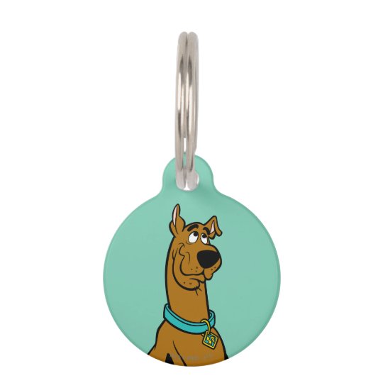 Scooby-Doo Puppy Eyes Pet Name Tag | Zazzle.com