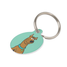 Scooby-Doo Puppy Eyes Pet Name Tag | Zazzle