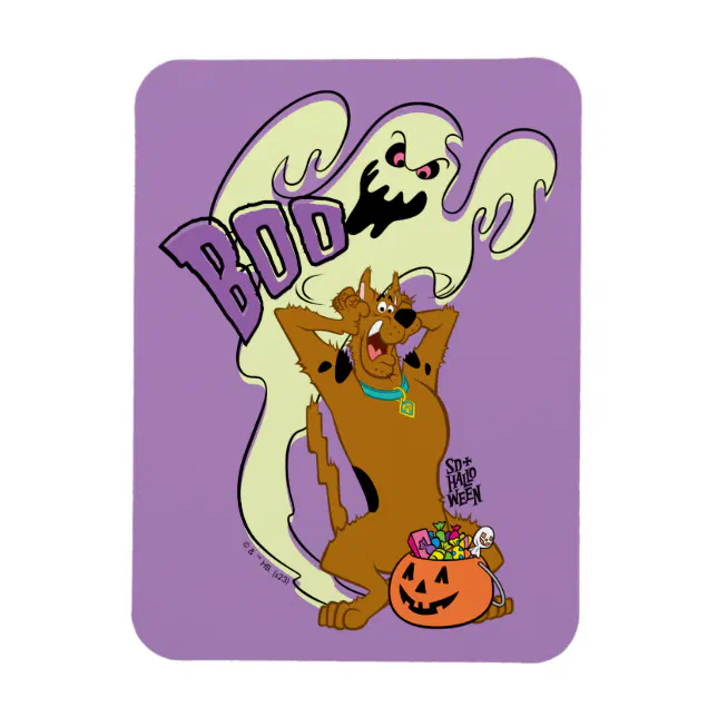 Scooby-Doo | Scooby-Doo Boo Magnet | Zazzle