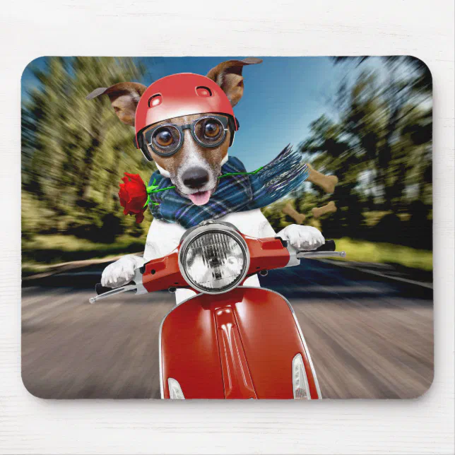 Scooter dog ,jack russell mouse pad | Zazzle