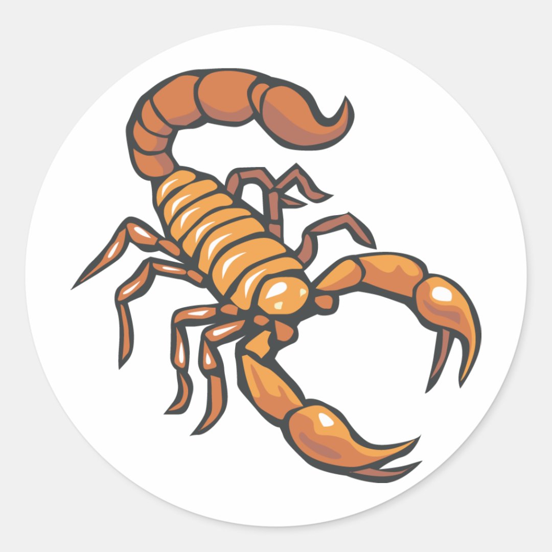 Scorpion Classic Round Sticker | Zazzle