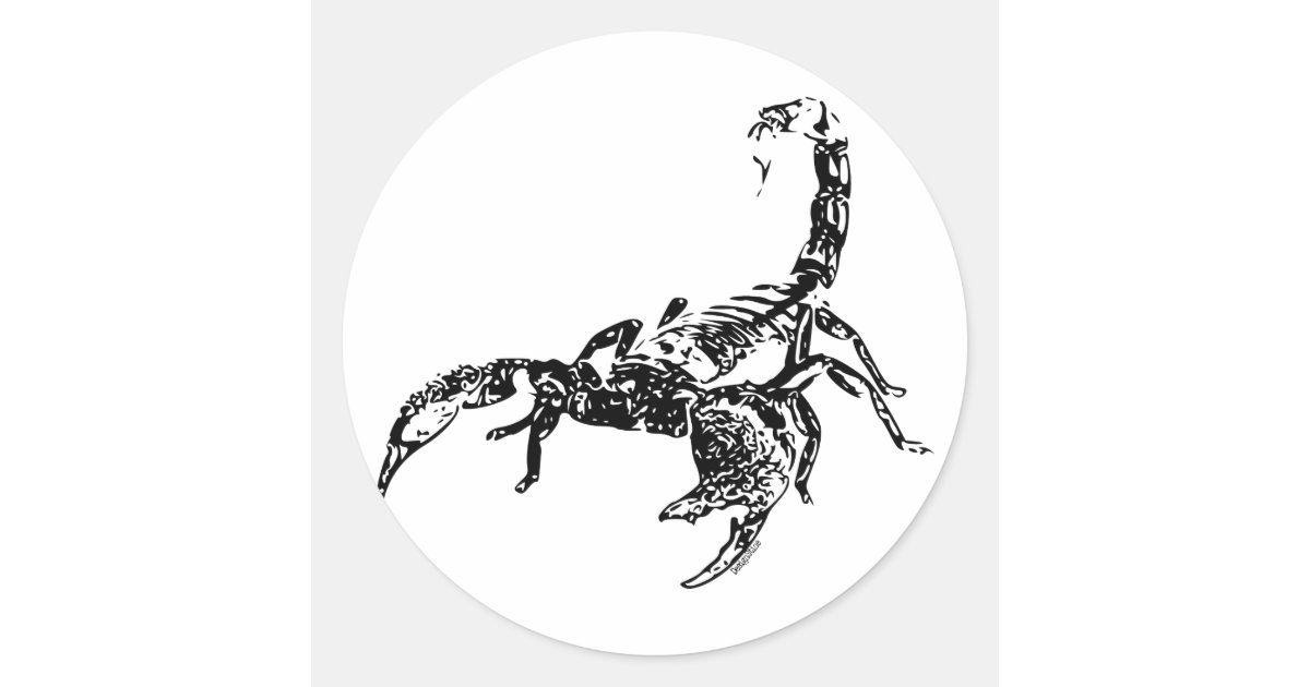 Scorpion - Sticker | Zazzle