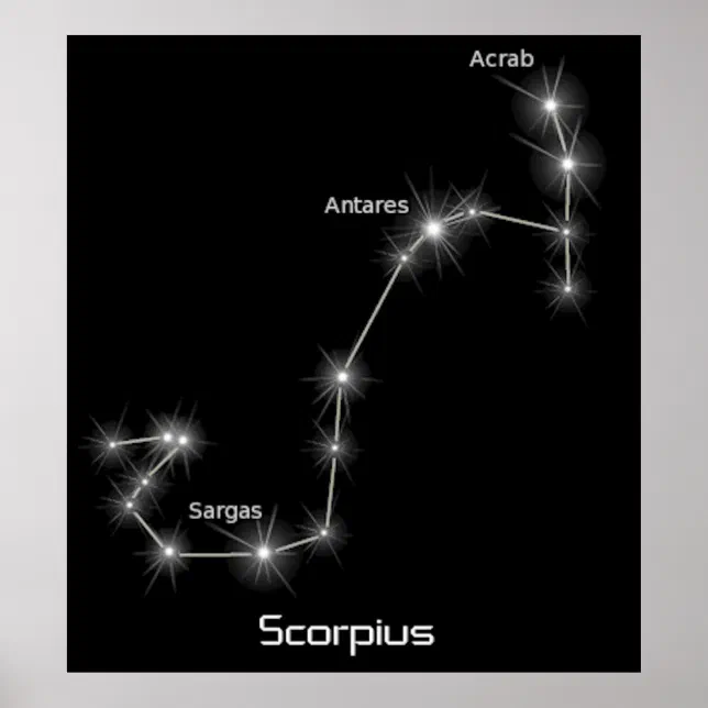 Scorpius Constellation Scorpio Zodiac Business Poster | Zazzle