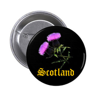 Scottish Thistle Buttons & Pins | Zazzle
