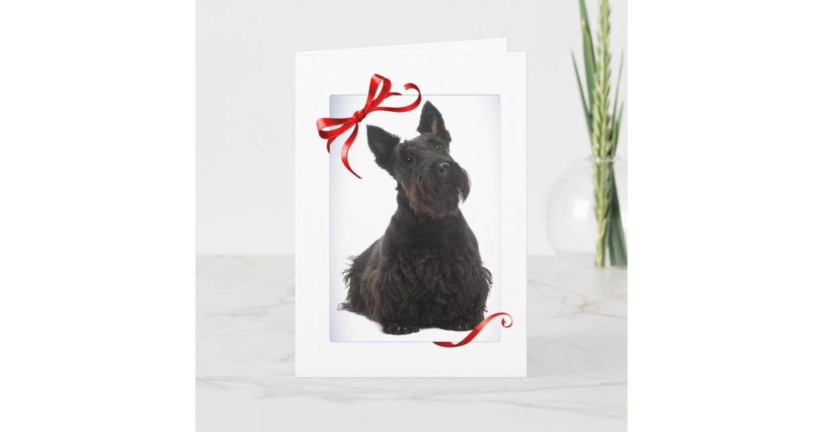 Scottie Christmas Card | Zazzle