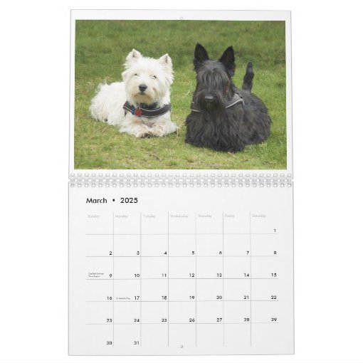 Scotties and Westies CALENDAR | Zazzle