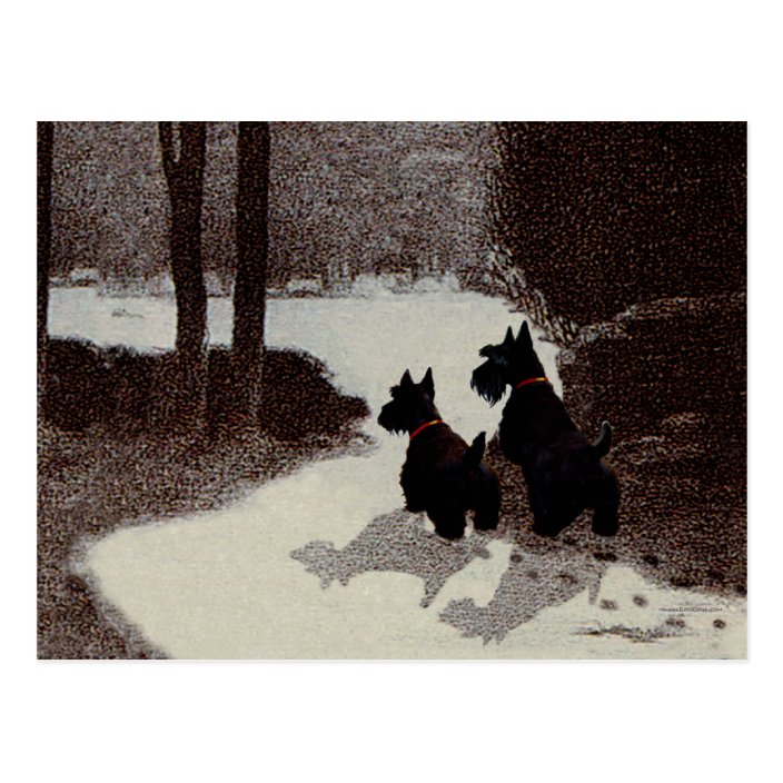 Scotties on Surreal Winter Night Postcard | Zazzle.com