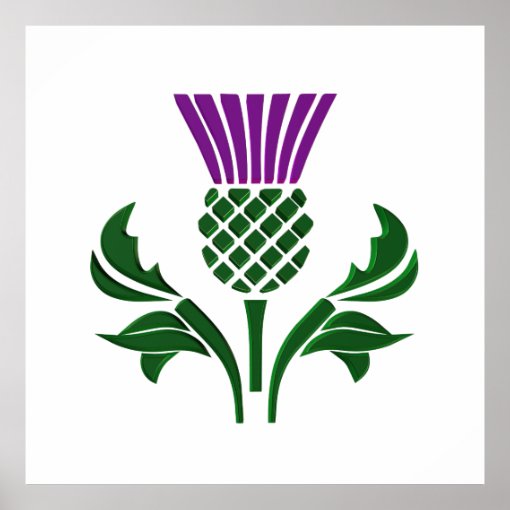 Scottish emblem thistle poster | Zazzle
