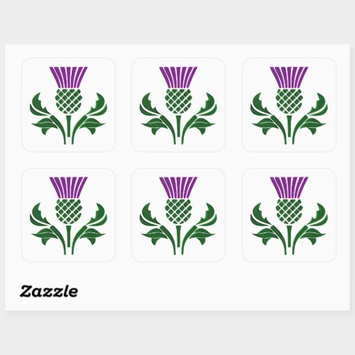 Scottish emblem thistle square sticker | Zazzle