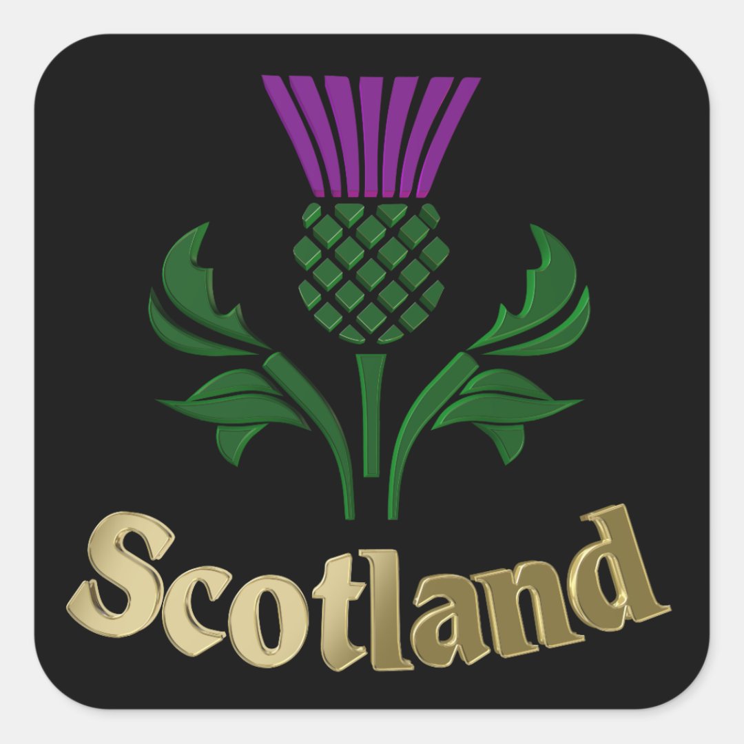 Scottish emblem thistle square sticker | Zazzle