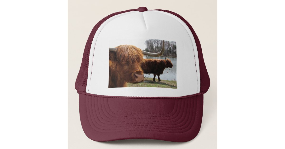 Scottish Highland Cattle ~ hat | Zazzle